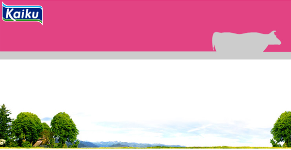 ¿Cómo puedo trabajar en la empresa Kaiku? ¡Te lo contamos!